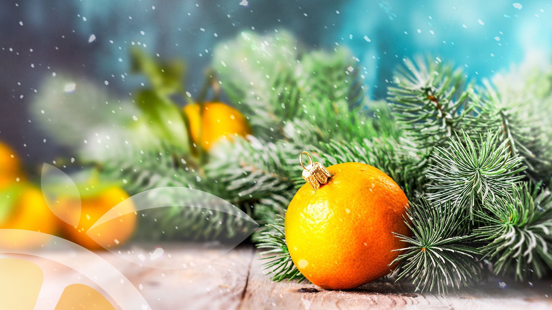 Gesund durch den Winter: Obst und Nüsse im Büro
